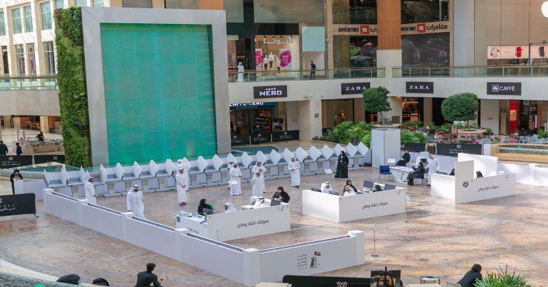 Federal National Council Election 2019: A Significant Milestone in an ...